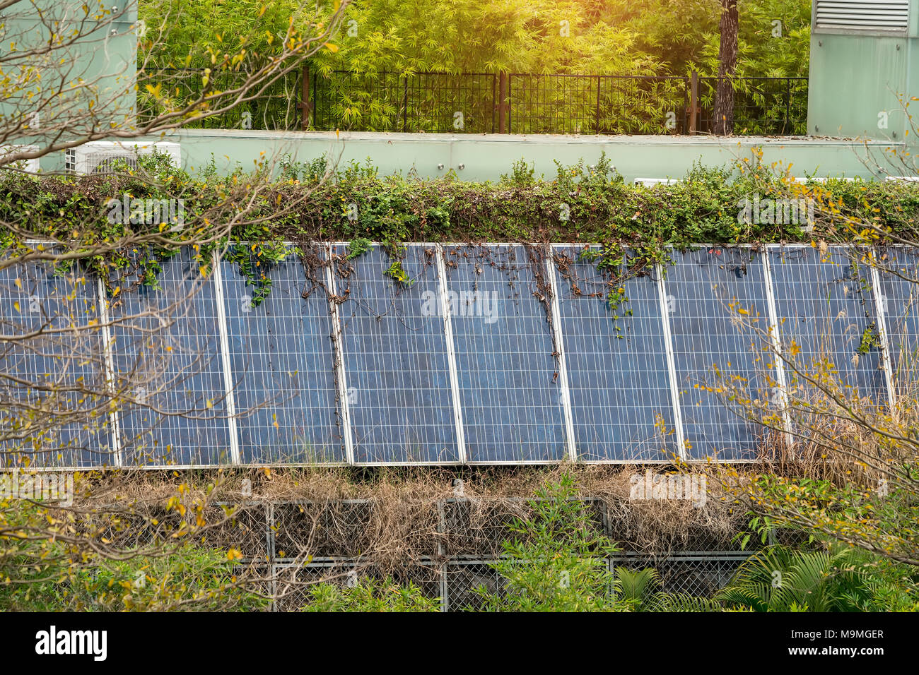 solar panel plant with urban landscape landmarks,Ecological energy ...