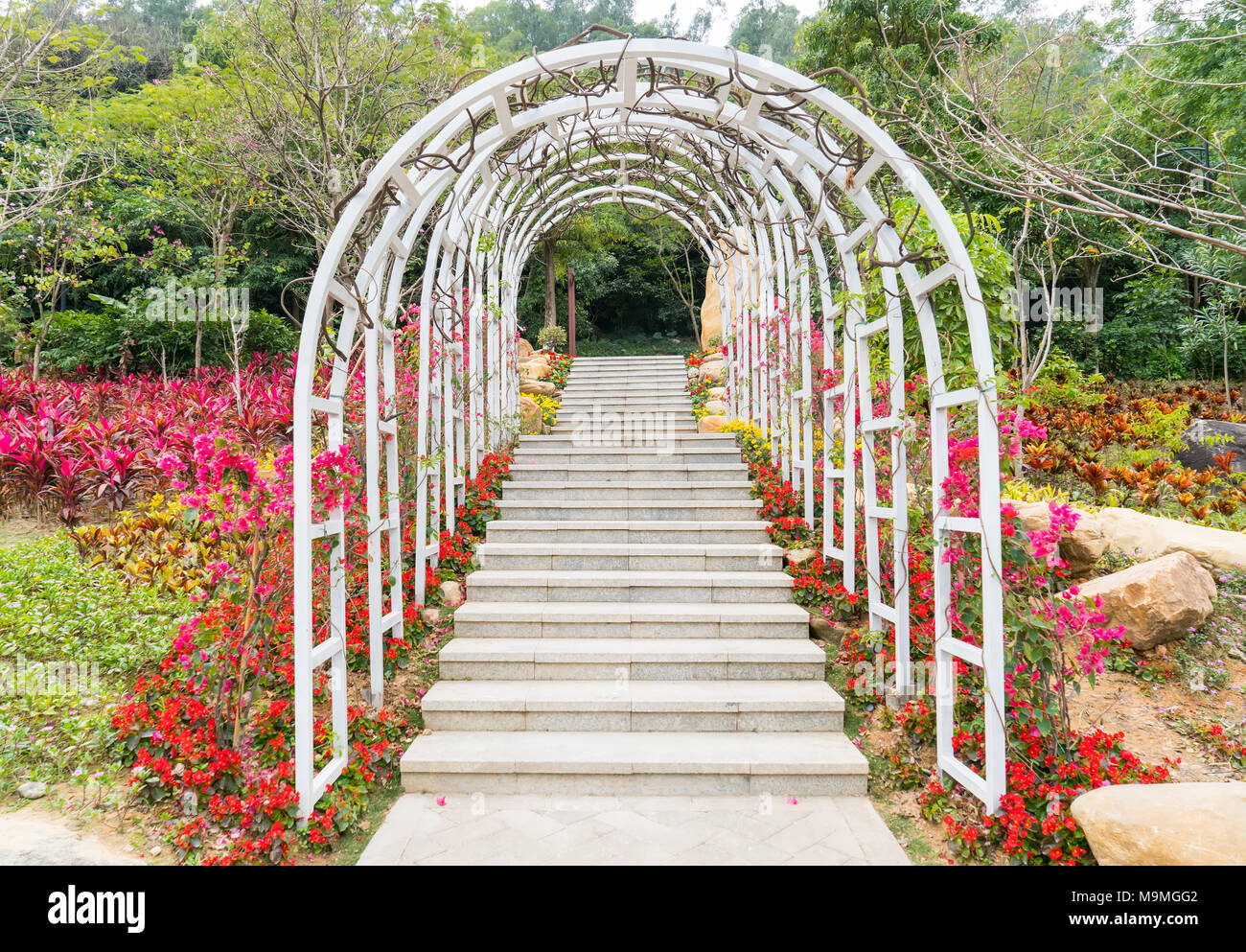 arch and growing colorful spring flowers Stock Photo - Alamy