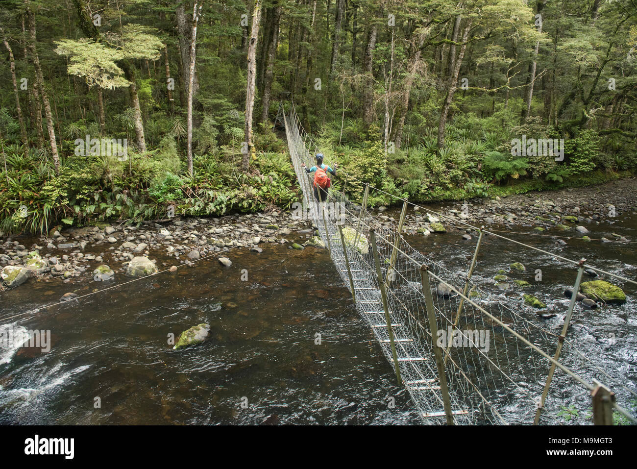 Wire bridge hi-res stock photography and images - Alamy