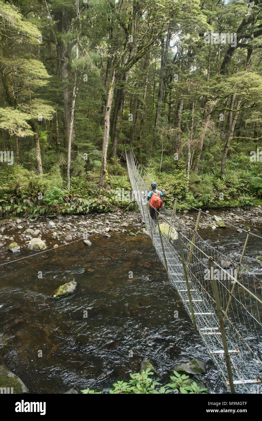 Wire bridge hi-res stock photography and images - Alamy
