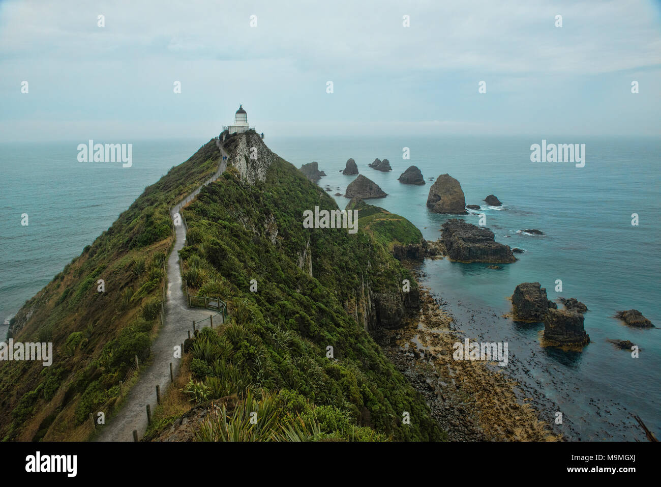 Kaka point hi-res stock photography and images - Alamy