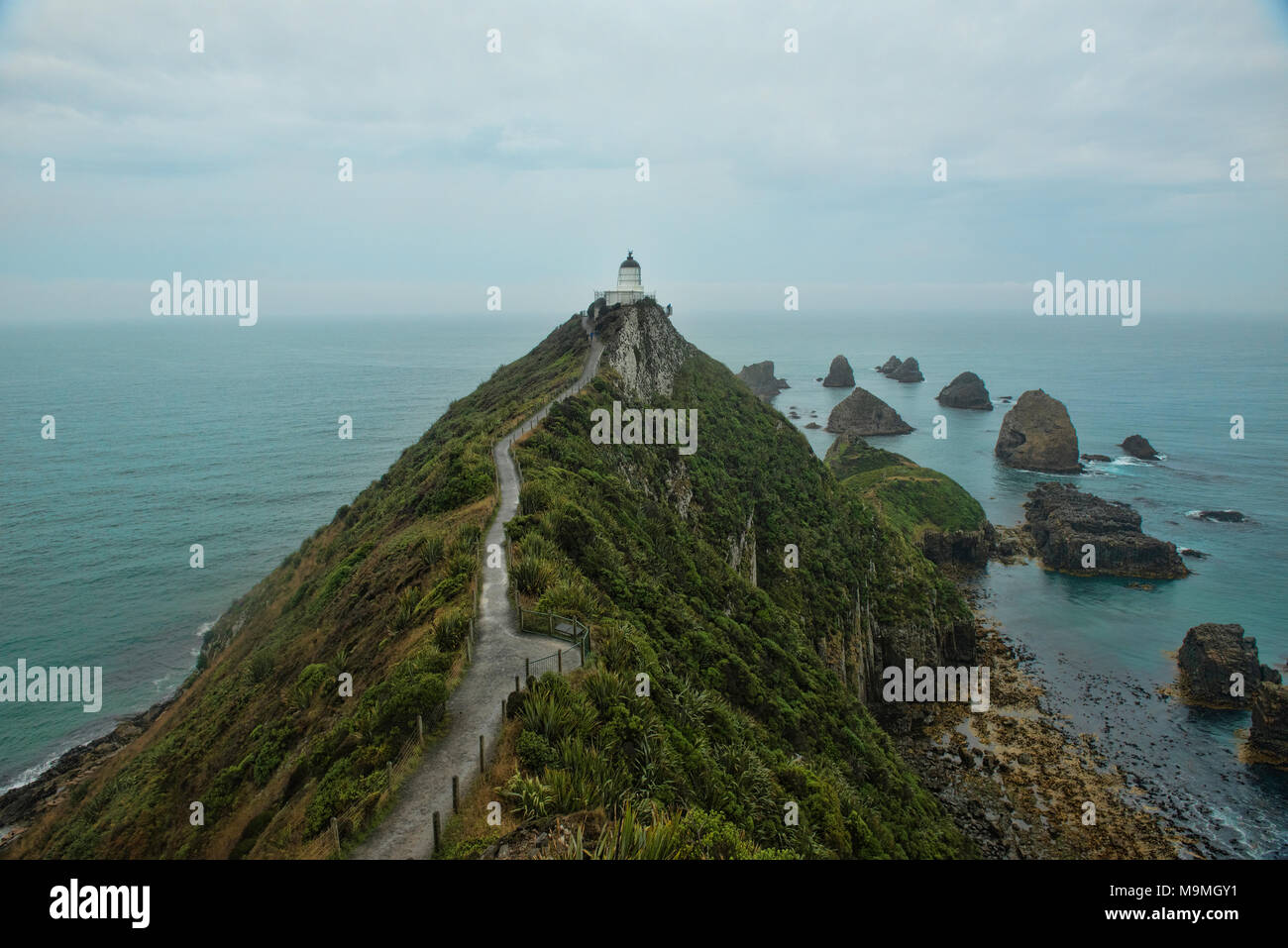 Nugget Point Lighthouse, The Catlins, New Zealand Stock Photo - Alamy
