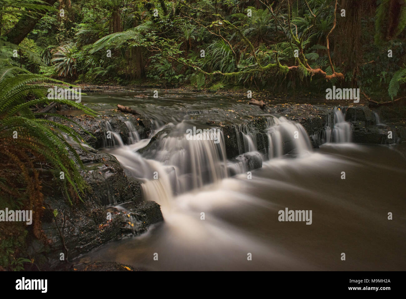 Silky water flow at Purakaunui Falls in the Catlins, New Zealand Stock ...