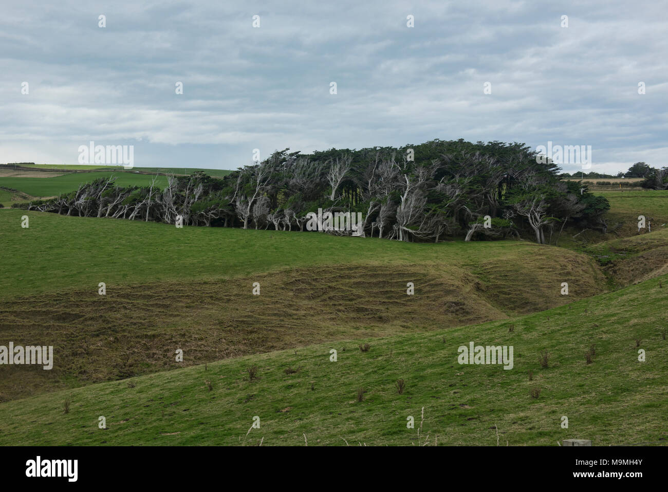 Roaring forties hi-res stock photography and images - Alamy