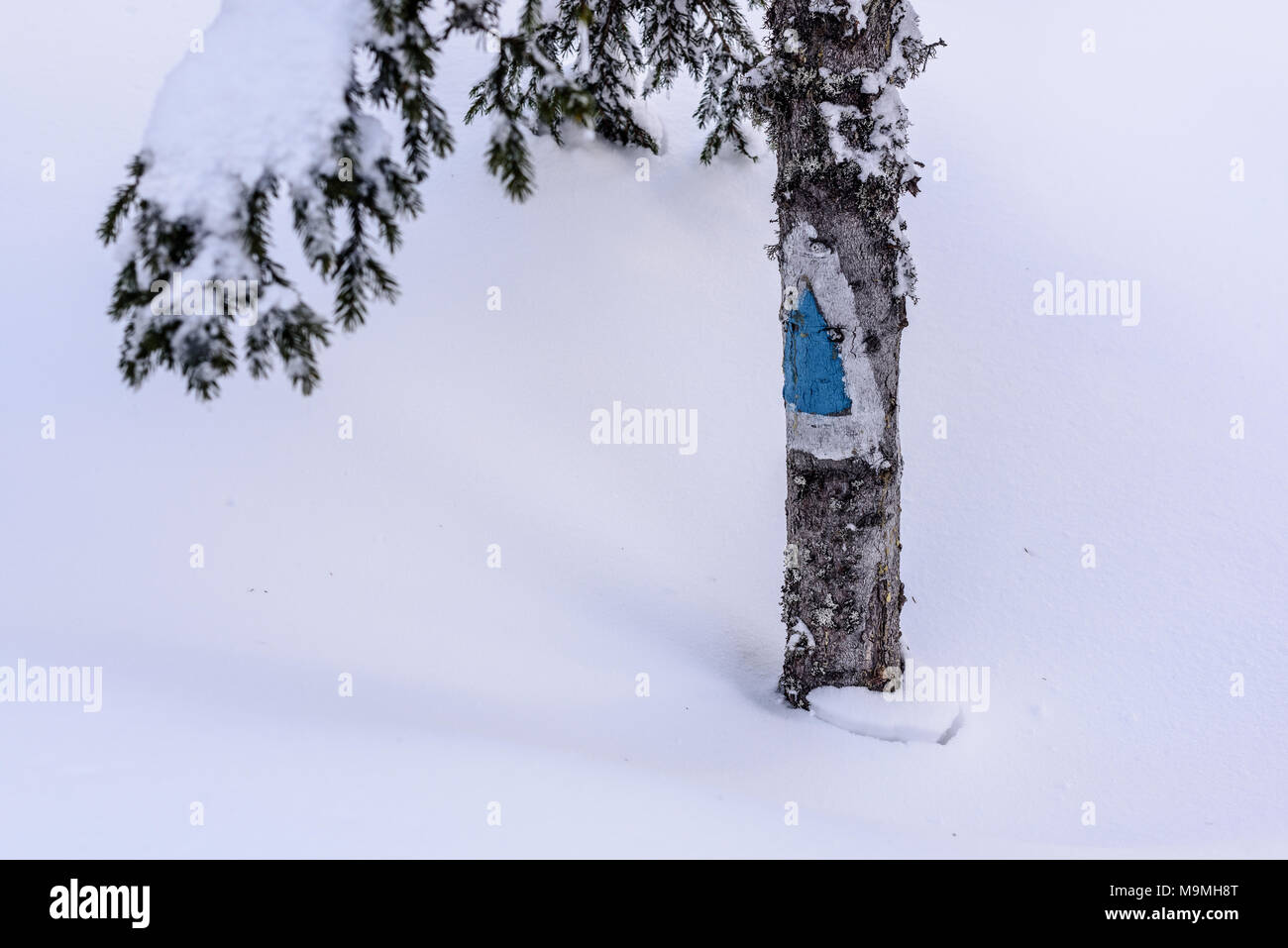 Adventure symbol hi-res stock photography and images - Alamy