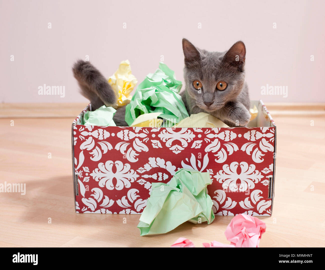 In a box hi-res stock photography and images - Alamy
