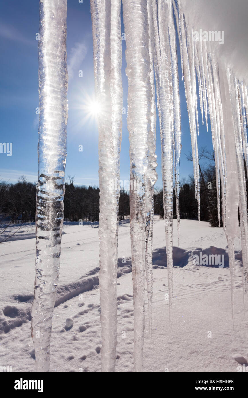 Large icicles hanging in the midday sunshine. Muskoka, Ontario, Canada ...