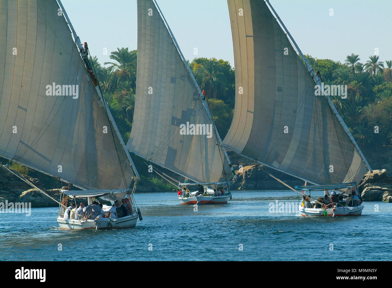 Egypt, Upper Egypt, Nubia, Nile Valley, Aswan, feluccas on the Nile ...