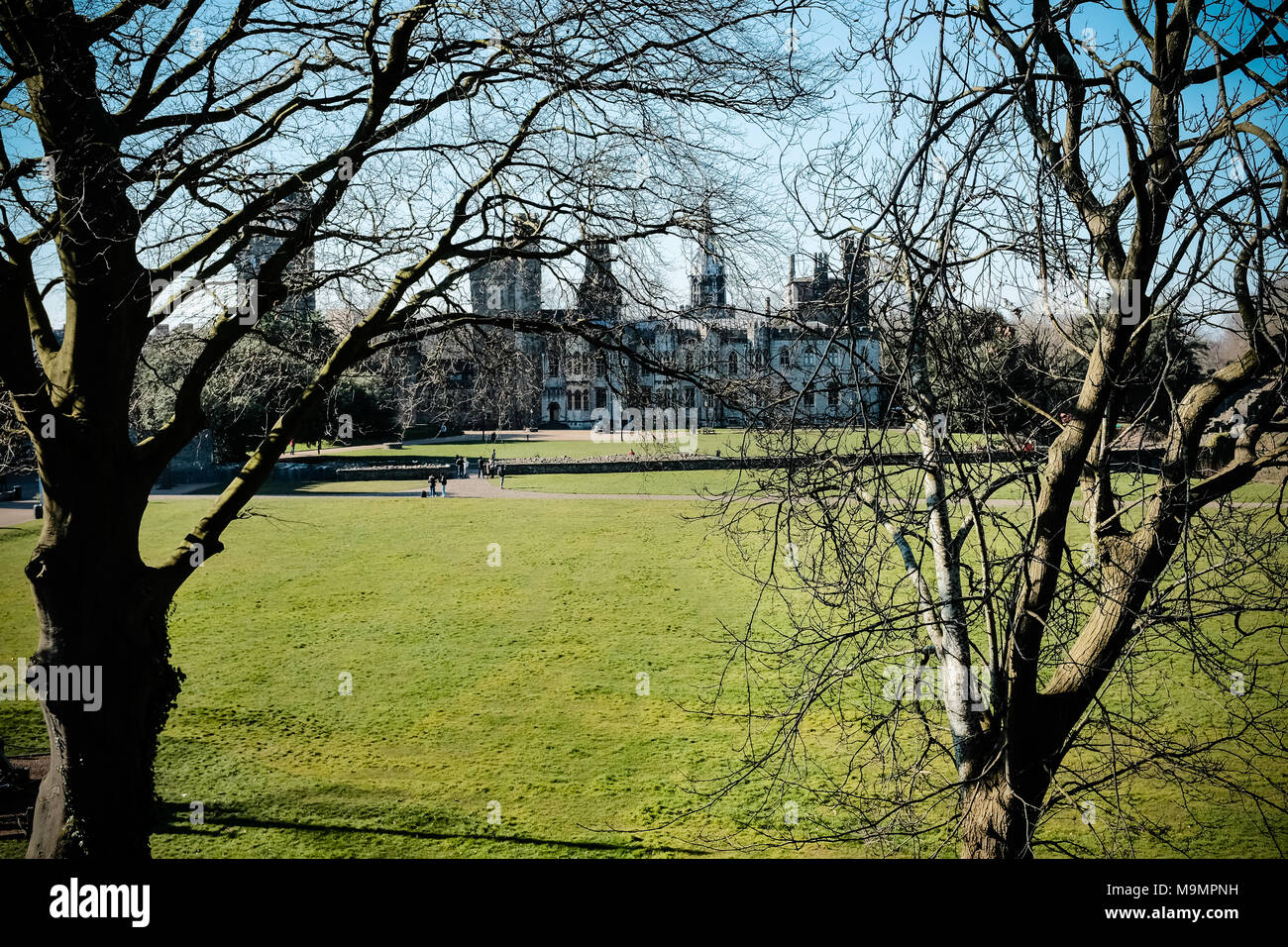 Beauchamp family hi-res stock photography and images - Alamy