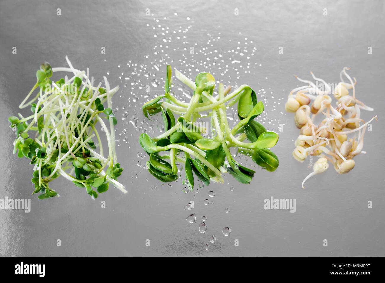 Different types of micro greens in white bowls for sauces on wet silver ...