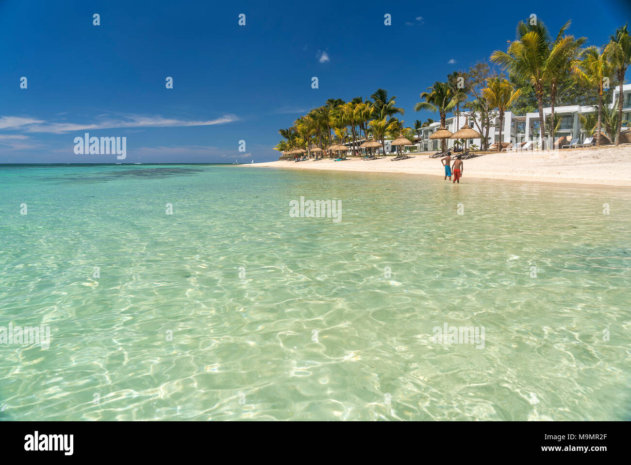 Dream beach with palm trees at the bay of Turtle Bay, Mauritius Stock ...