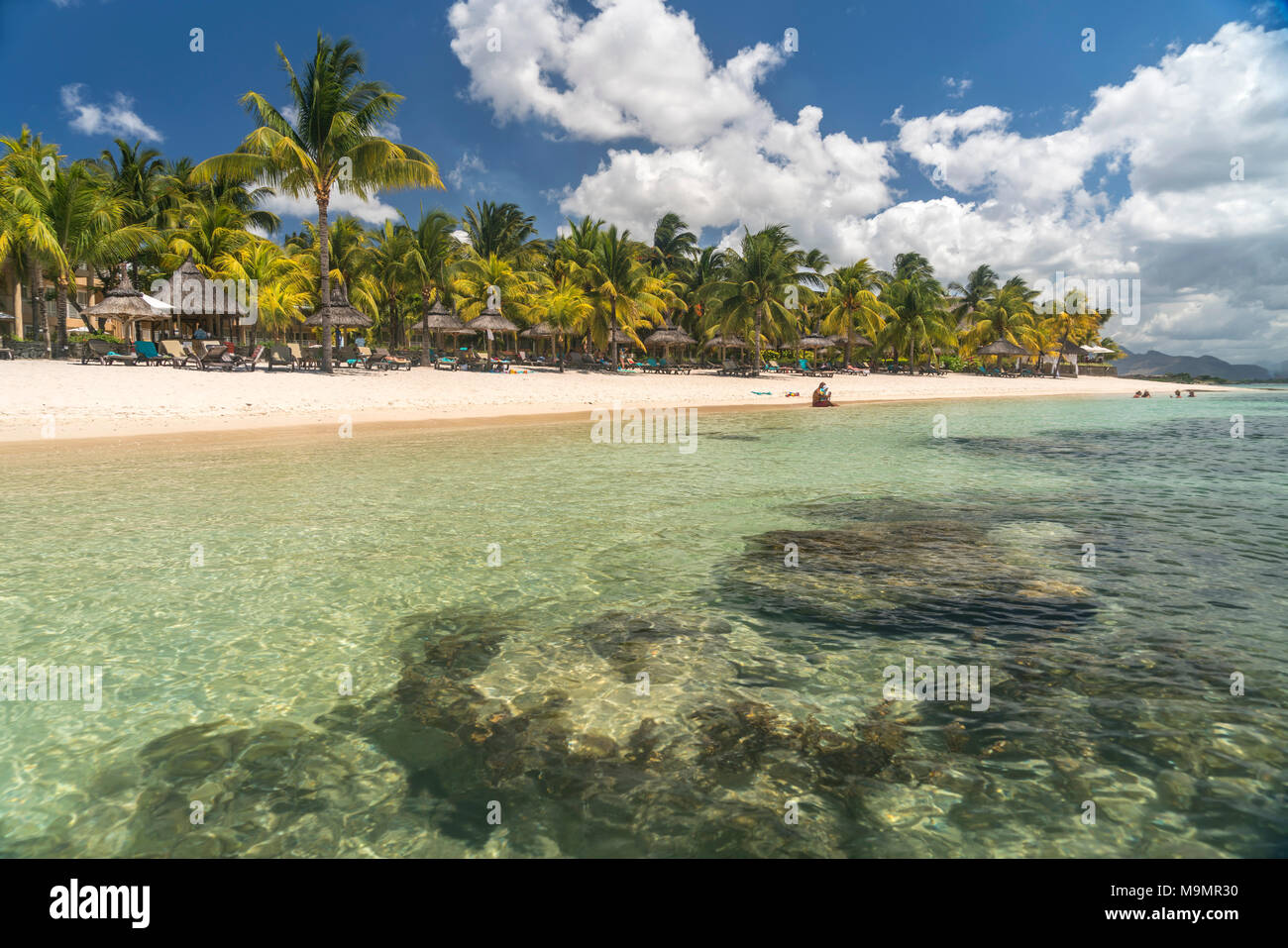 Dream beach with palm trees at the bay of Turtle Bay, Mauritius Stock ...