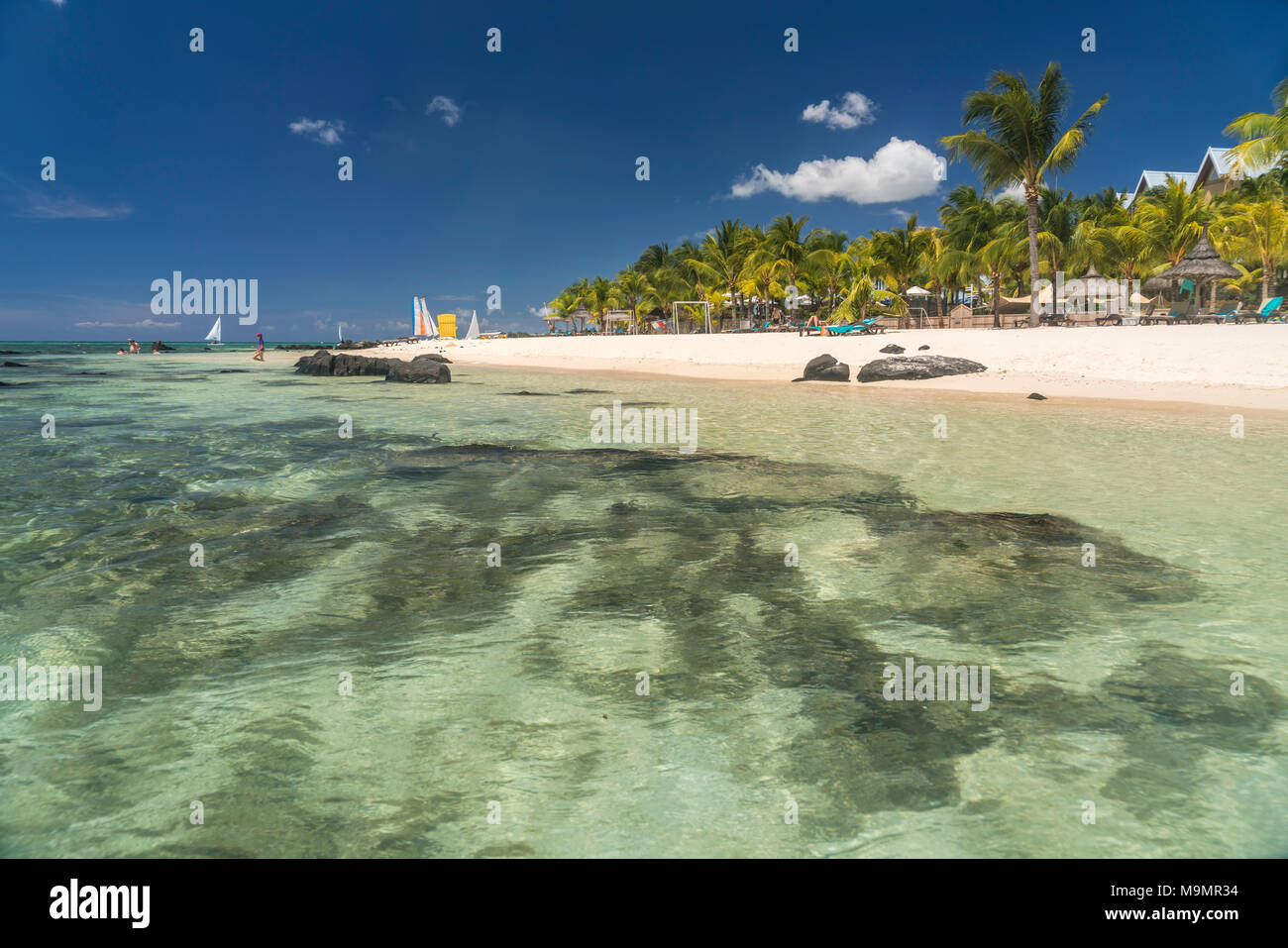 Dream beach with palm trees at the bay of Turtle Bay, Mauritius Stock ...