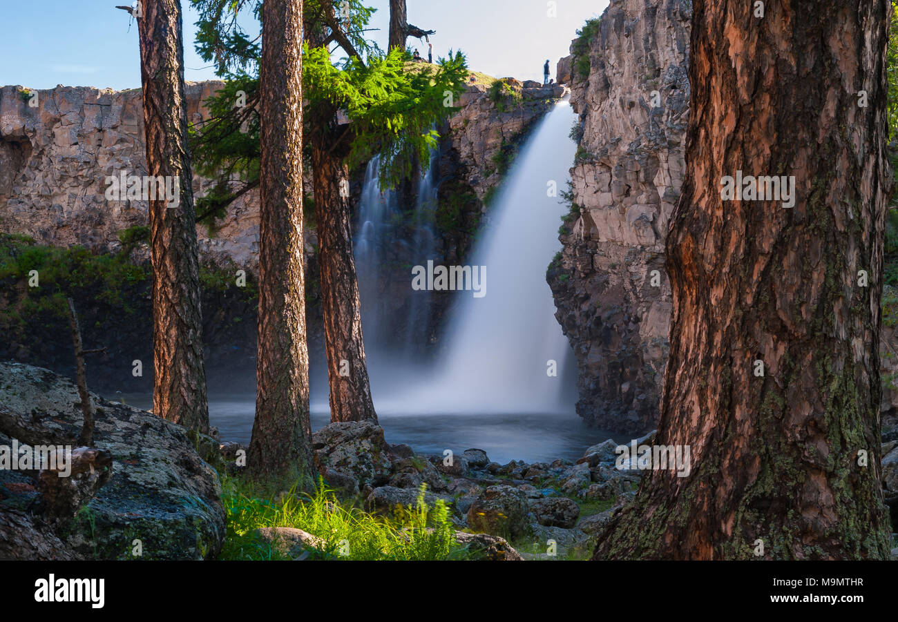 Tree trunks with Orkhon waterfalls in the back, Mongolia Stock Photo ...