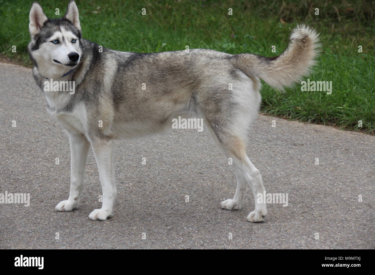 Looking back at friend hi-res stock photography and images - Alamy