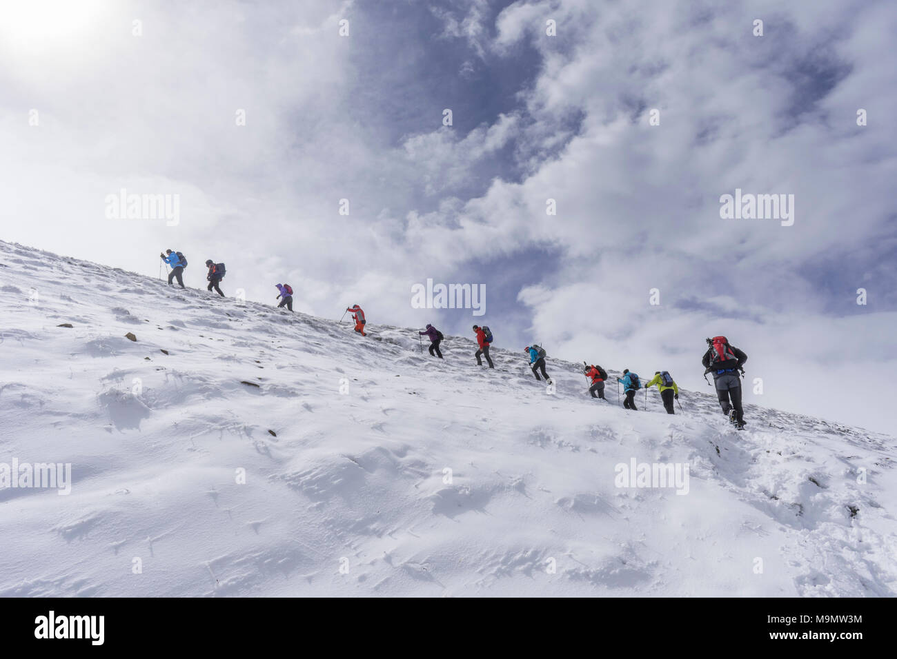 Hiking group ascending to the little Königstuhl during fresh snowfall ...
