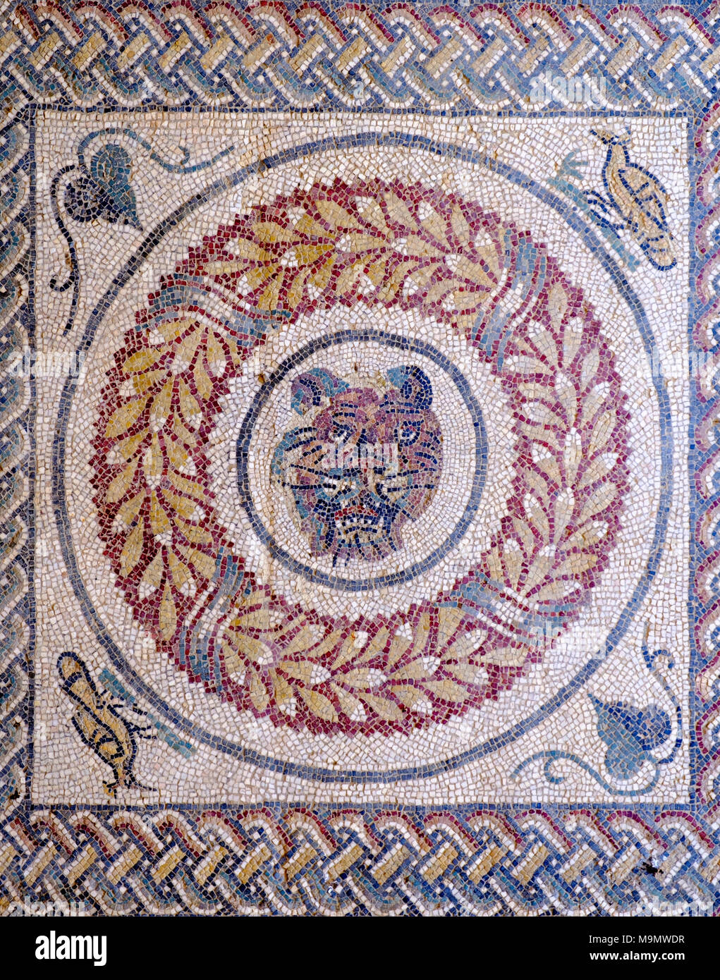 Tiger's head, antique Roman floor mosaic, Villa Casale, Villa Romana ...