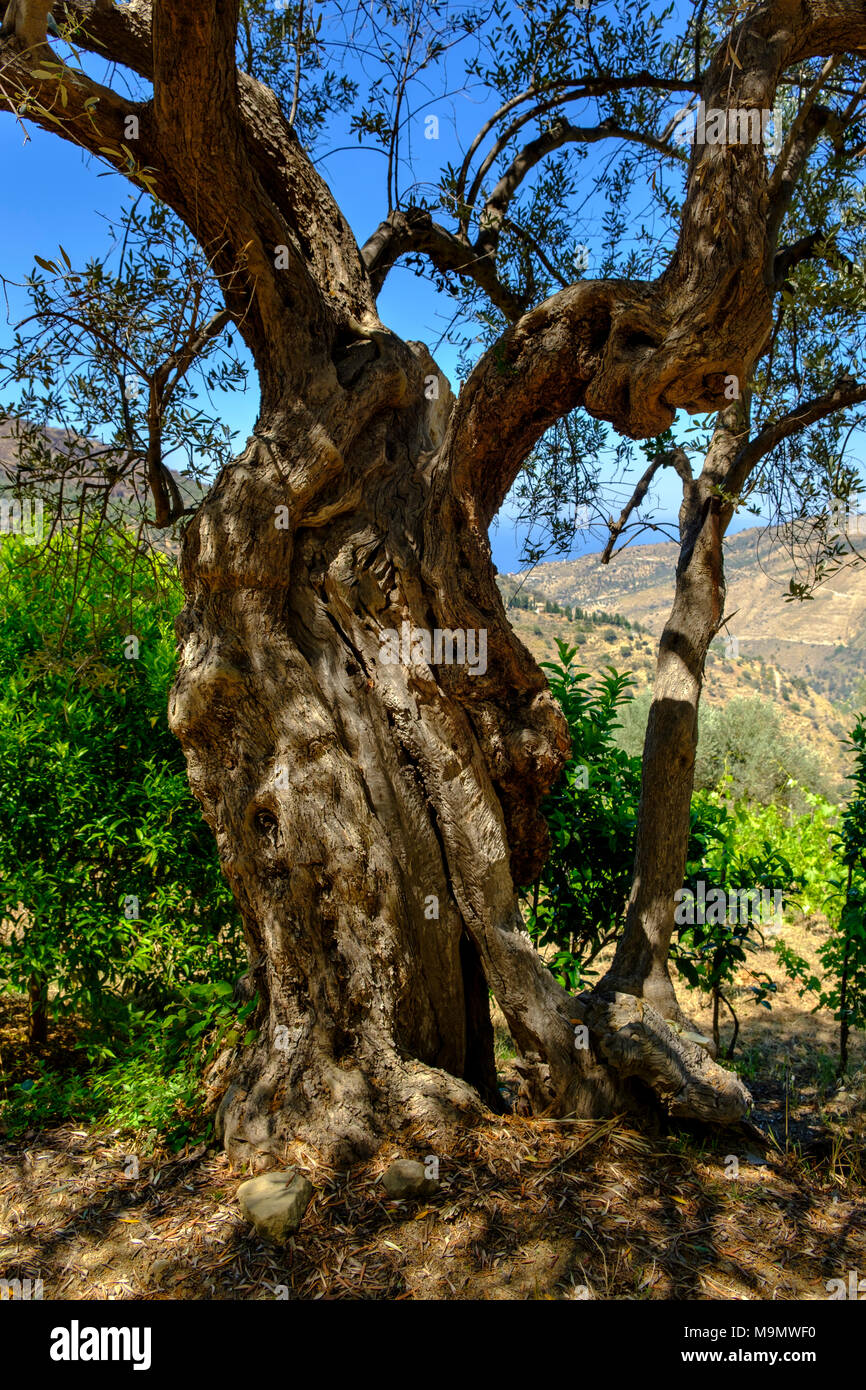 Province of messina hi-res stock photography and images - Alamy
