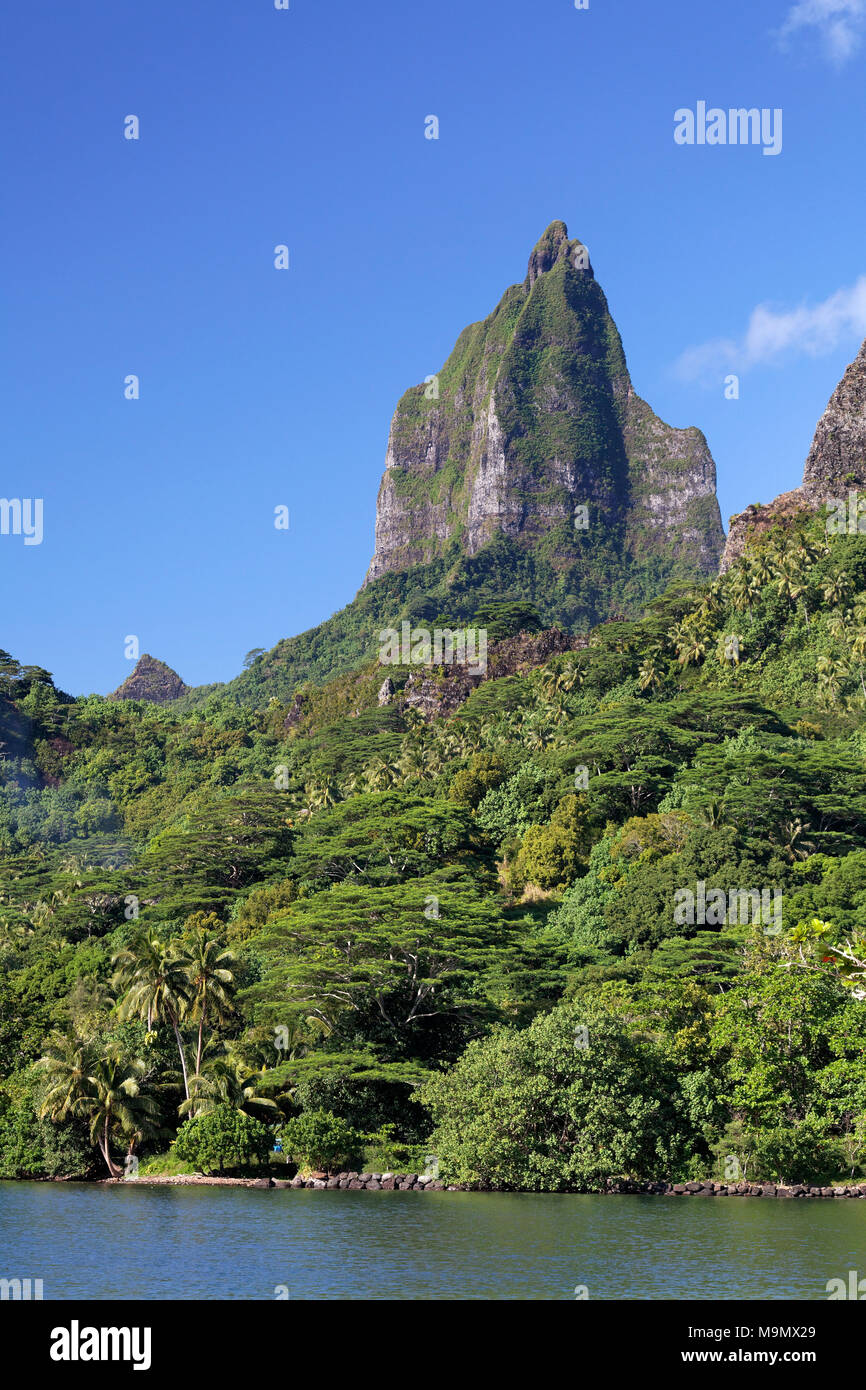 Green Mountain Range with highest peak, Mont Tohiea, 1207 m, Pacific ...