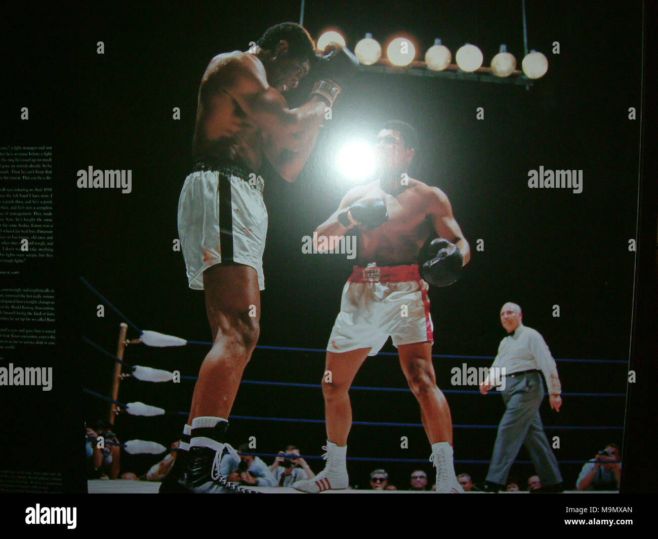 MIAMI - DECEMBER 06: Boxer Muhammad Ali photographed during Art Basel ...