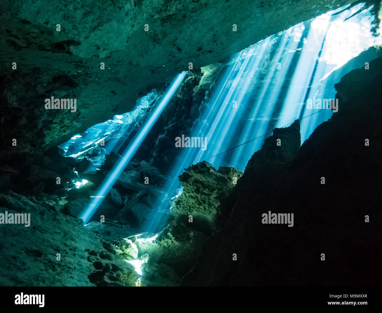 Tulum and cave diver and cenote hi-res stock photography and images - Alamy