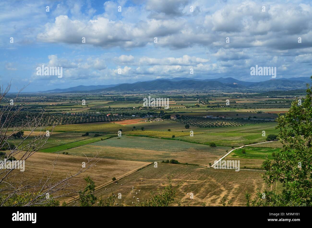 Tuscany coast vineyard hi-res stock photography and images - Alamy