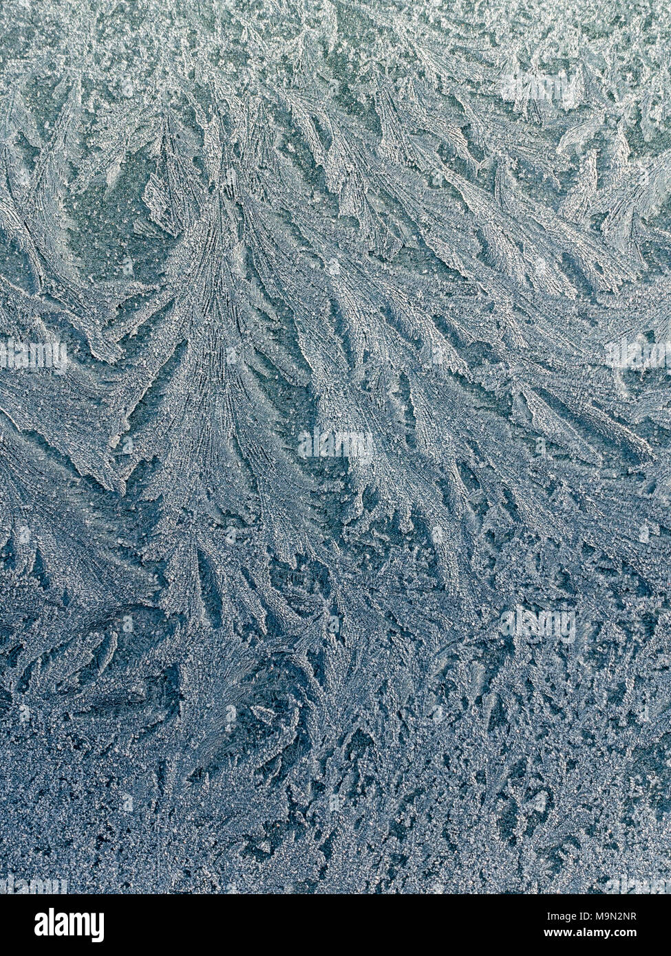 Frost pattern, ice flowers, ice crystals, structure, texture ...