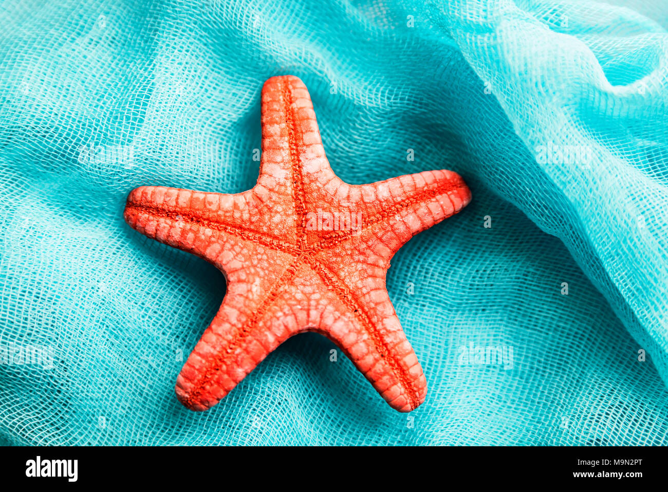 Dried red sea starfish on cian cloth background Stock Photo - Alamy