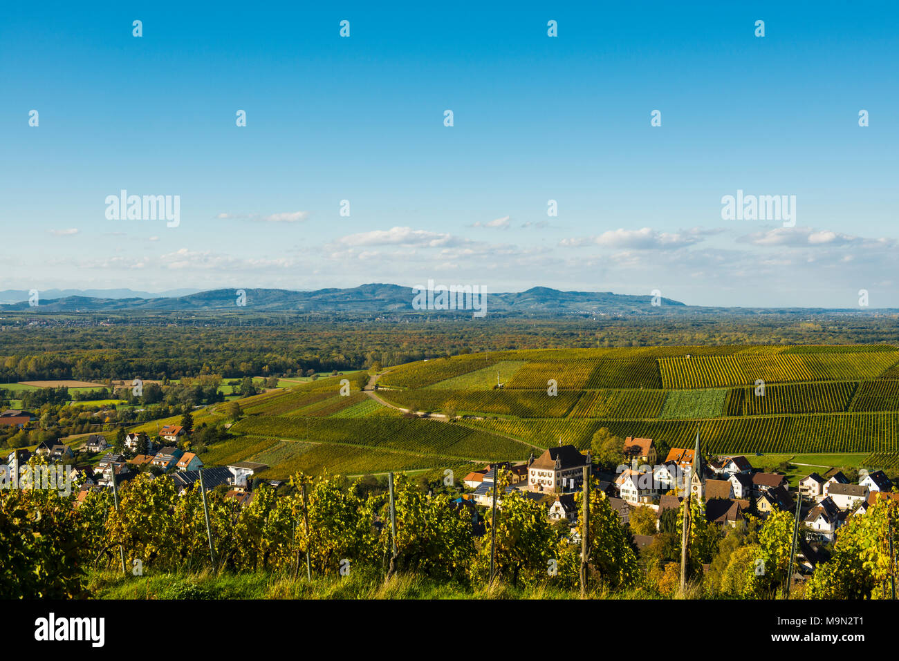 Small village in the vineyards, Ebringen, Markgräflerland, Black Forest ...