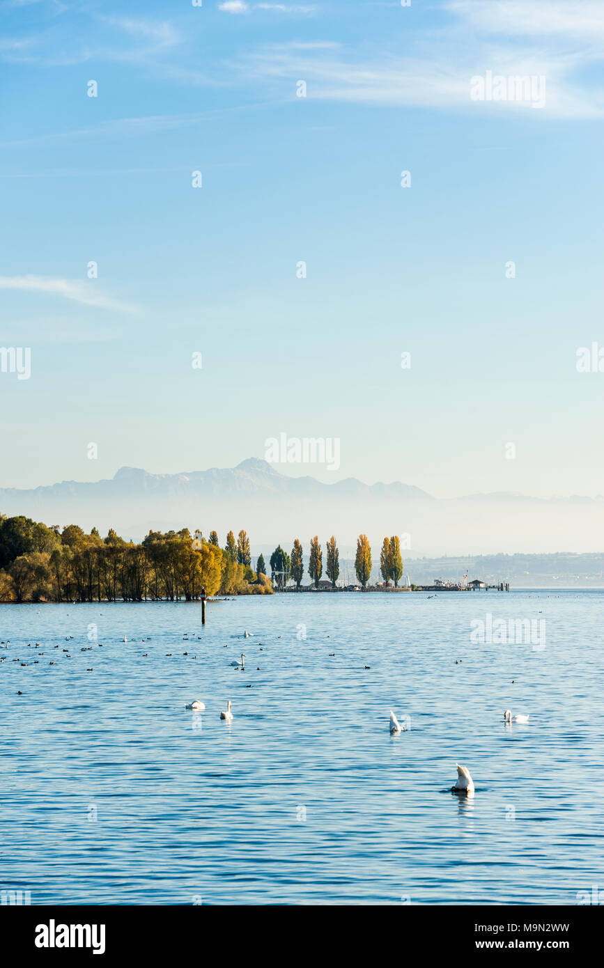 View of Lake Constance, in the back Swiss Alps with Säntis, Uhldingen ...