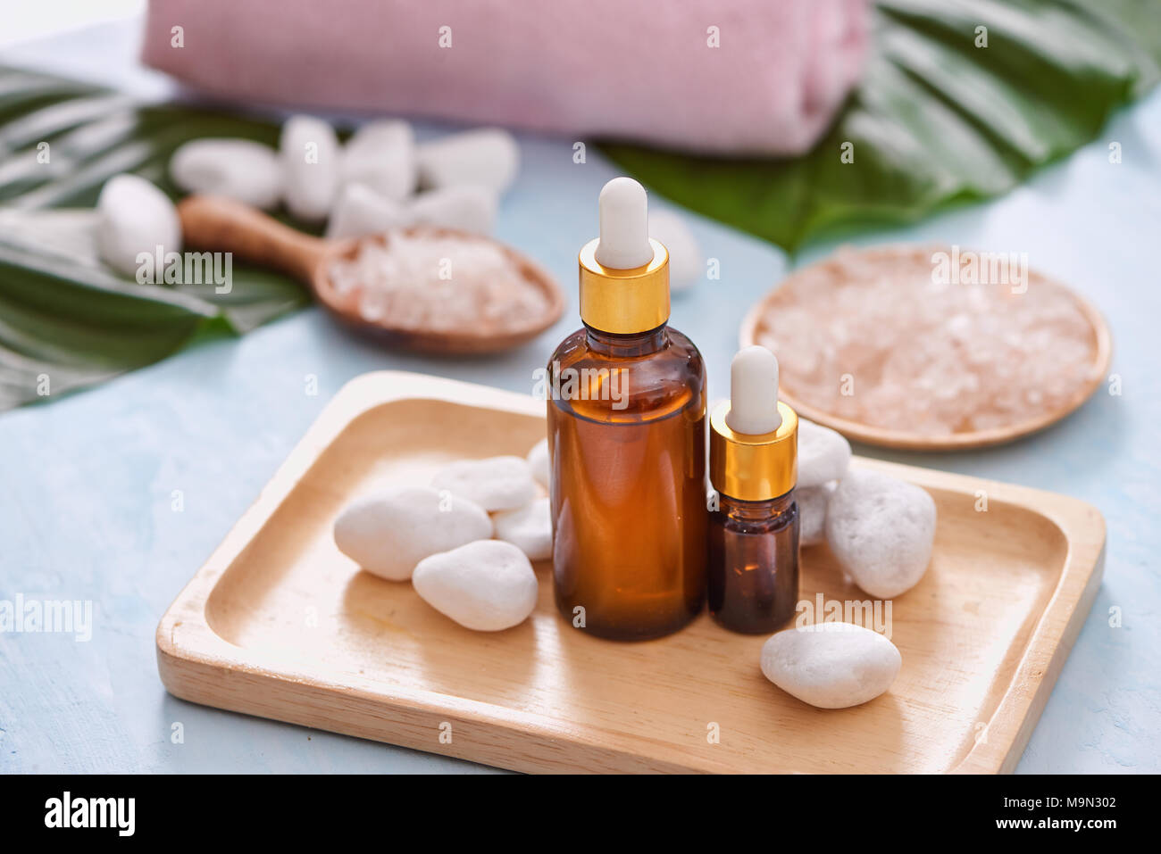 natural cosmetic skincare bottle container and organic green leaf ...