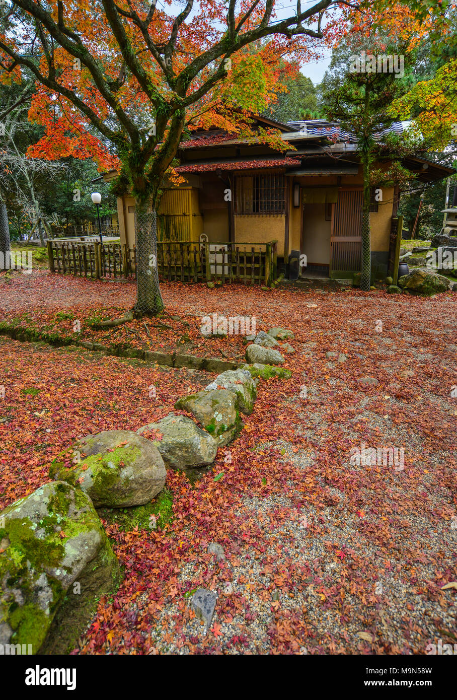 Nara, Japan - Nov 25, 2016. Traditional houses with autumn garden in ...