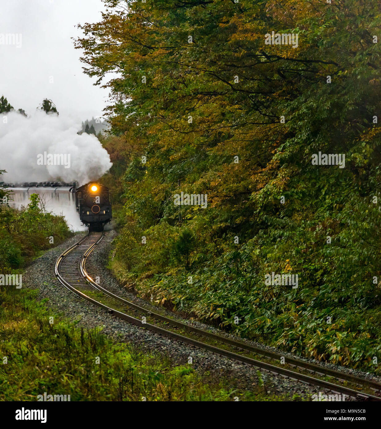 steam locomotive in autumn forest at Fukushima Japan Stock Photo - Alamy
