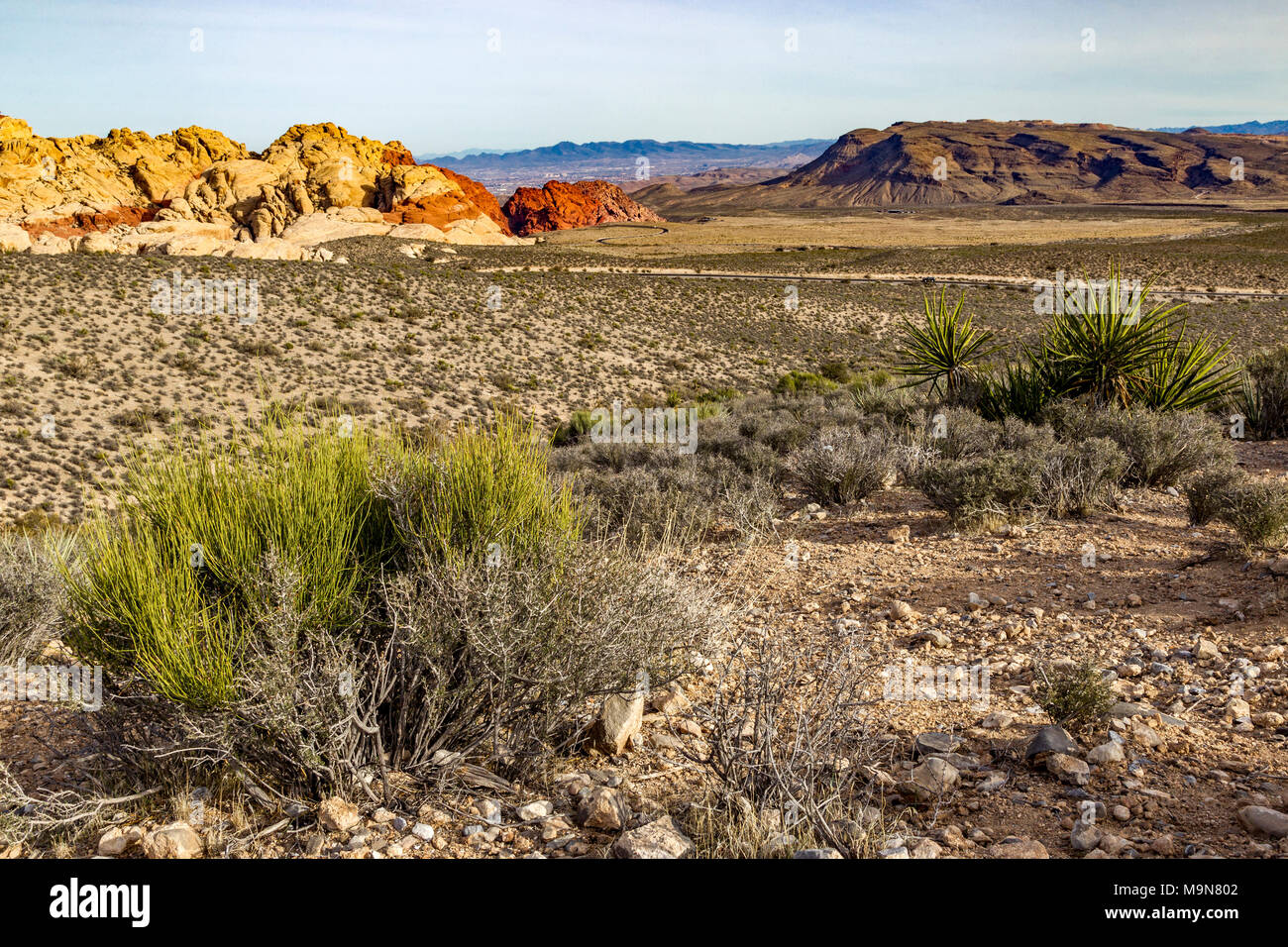 Red Rock Canyon in the Mojave desert, Navada, U.S.A Stock Photo - Alamy