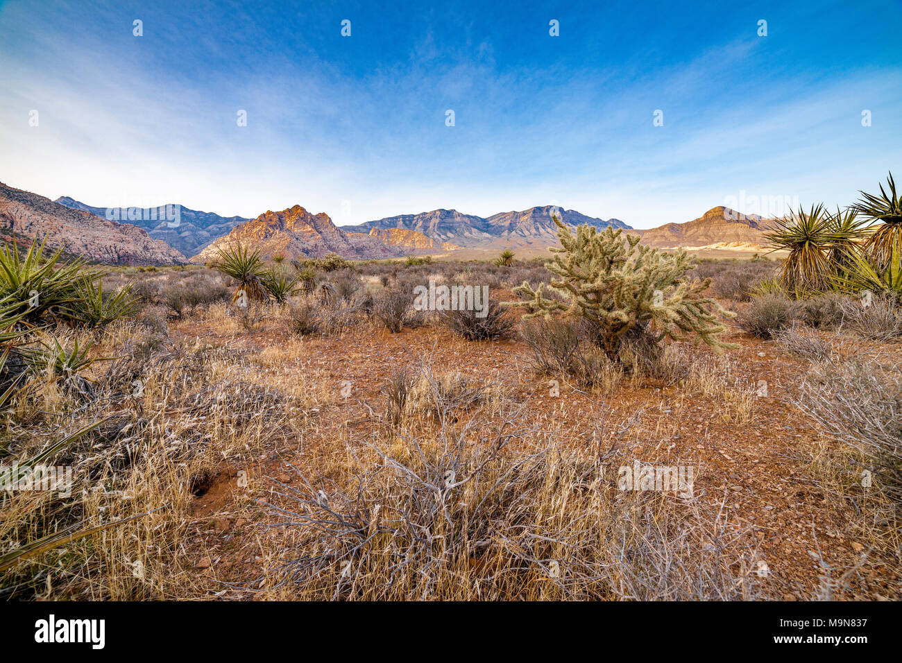Navada Desert High Resolution Stock Photography and Images - Alamy