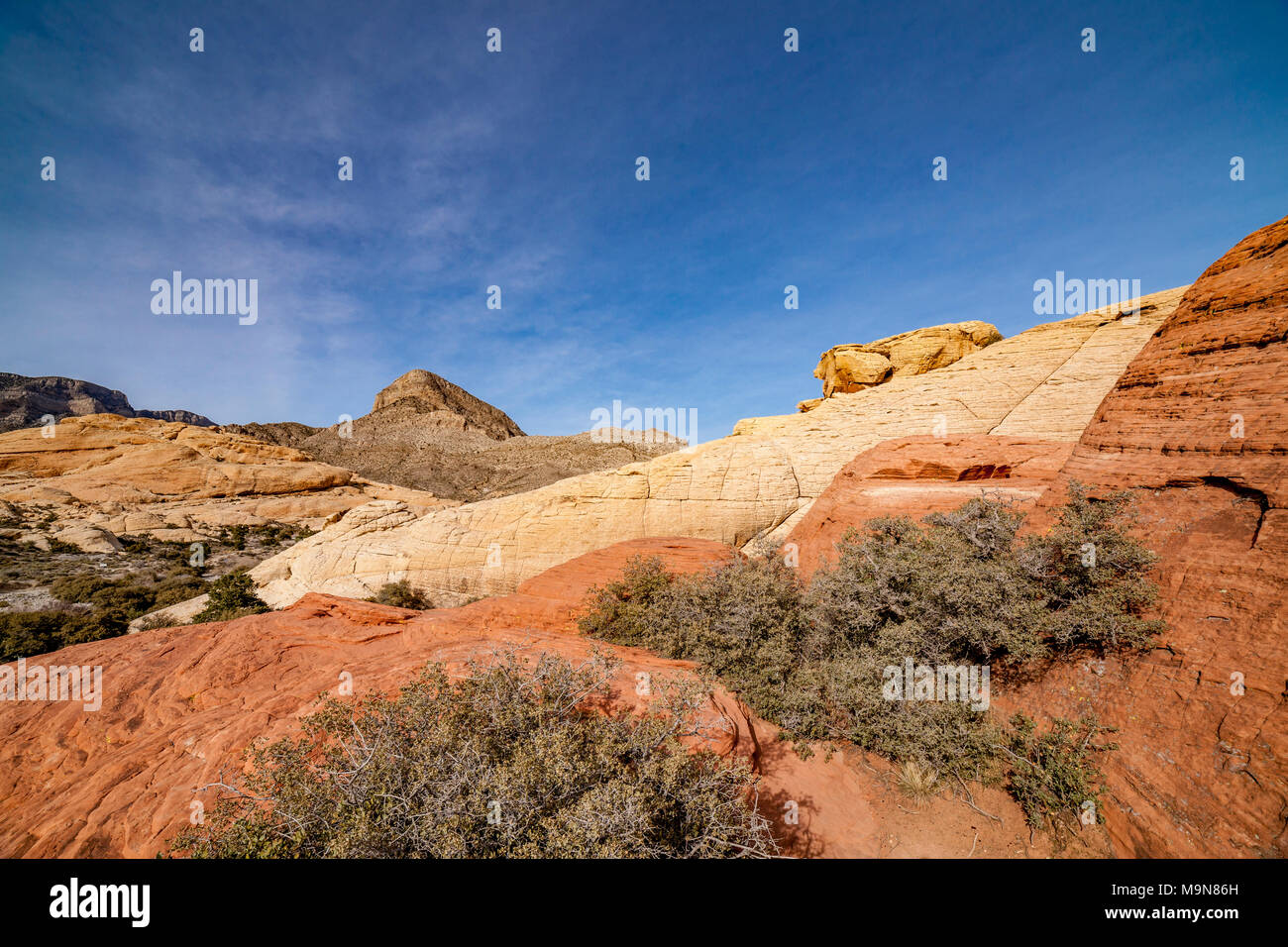 Red Rock Canyon in the Mojave desert, Navada, U.S.A Stock Photo - Alamy