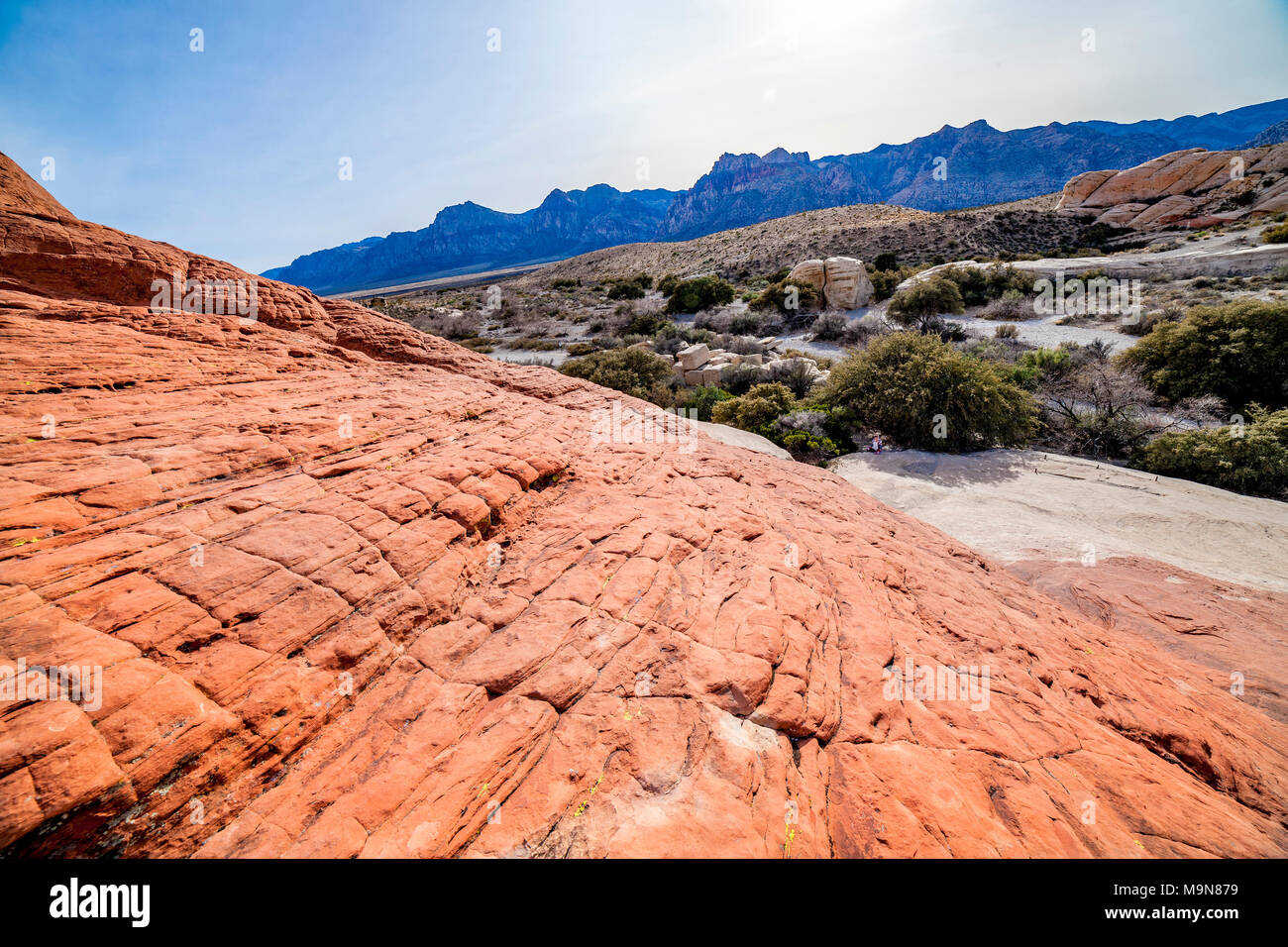 Red Rock Canyon in the Mojave desert, Navada, U.S.A Stock Photo - Alamy