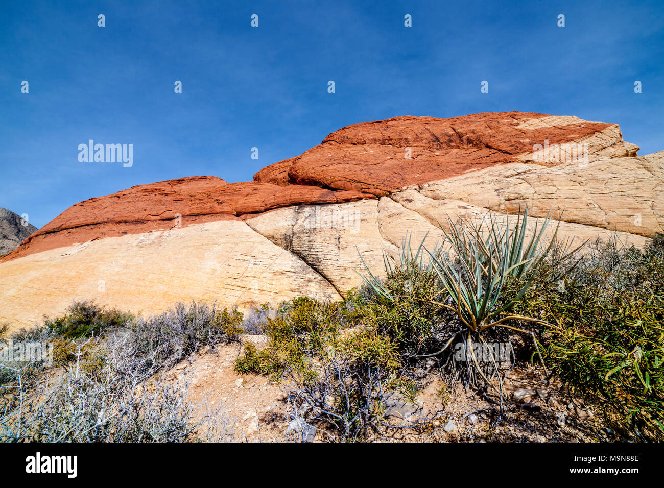 Red Rock Canyon in the Mojave desert, Navada, U.S.A Stock Photo - Alamy