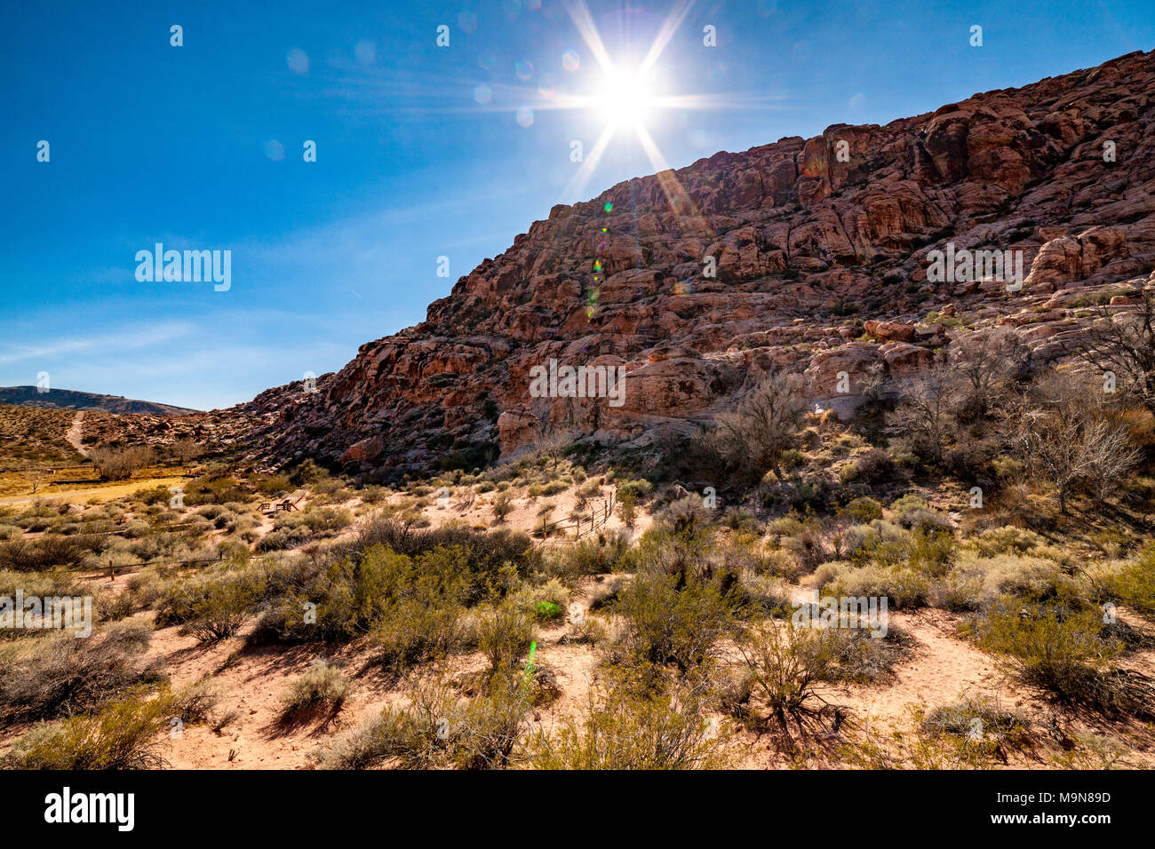 Red Rock Canyon in the Mojave desert, Navada, U.S.A Stock Photo - Alamy