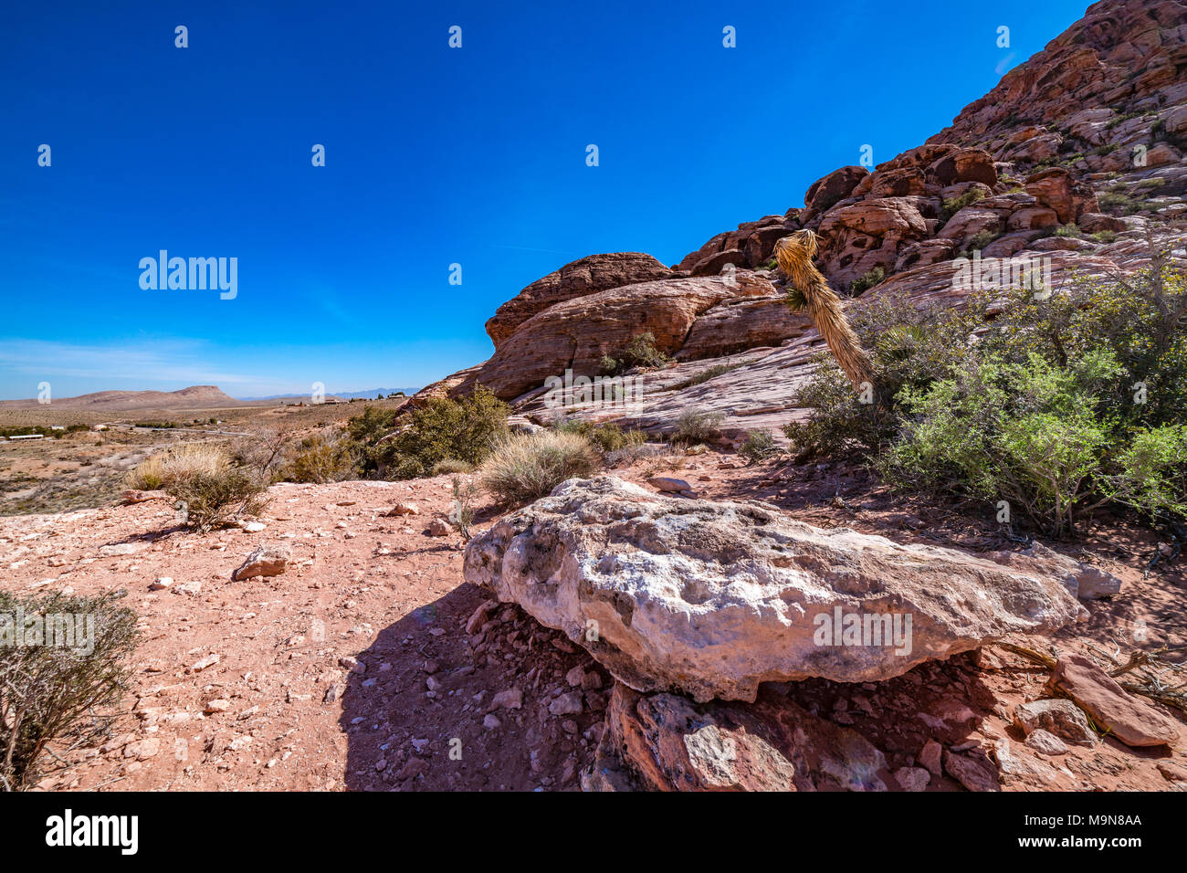 Red Rock Canyon in the Mojave desert, Navada, U.S.A Stock Photo - Alamy