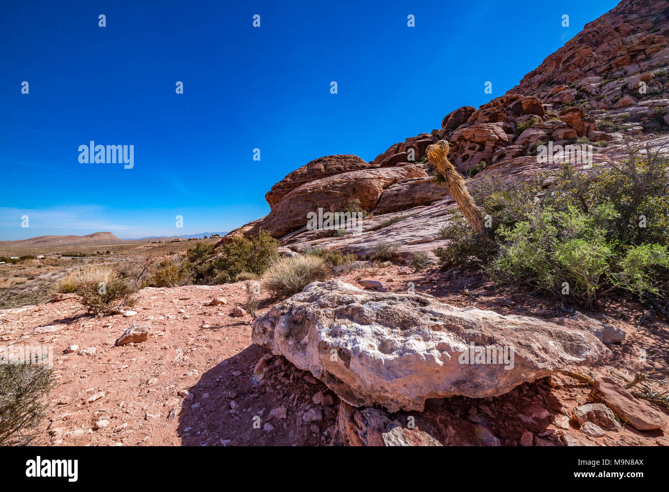 Red Rock Canyon in the Mojave desert, Navada, U.S.A Stock Photo - Alamy