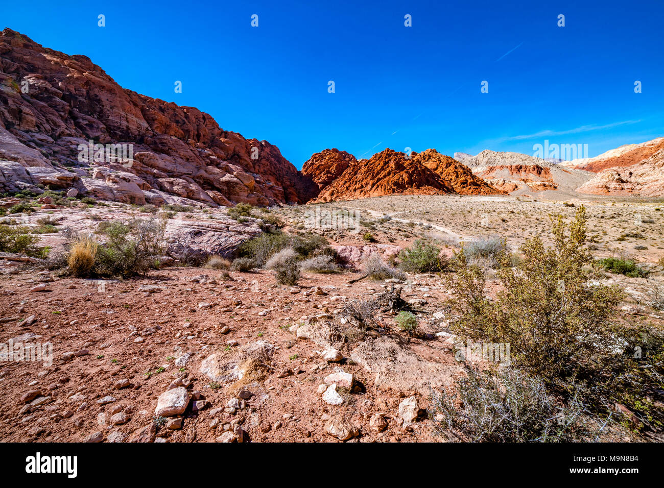 Red Rock Canyon in the Mojave desert, Navada, U.S.A Stock Photo - Alamy