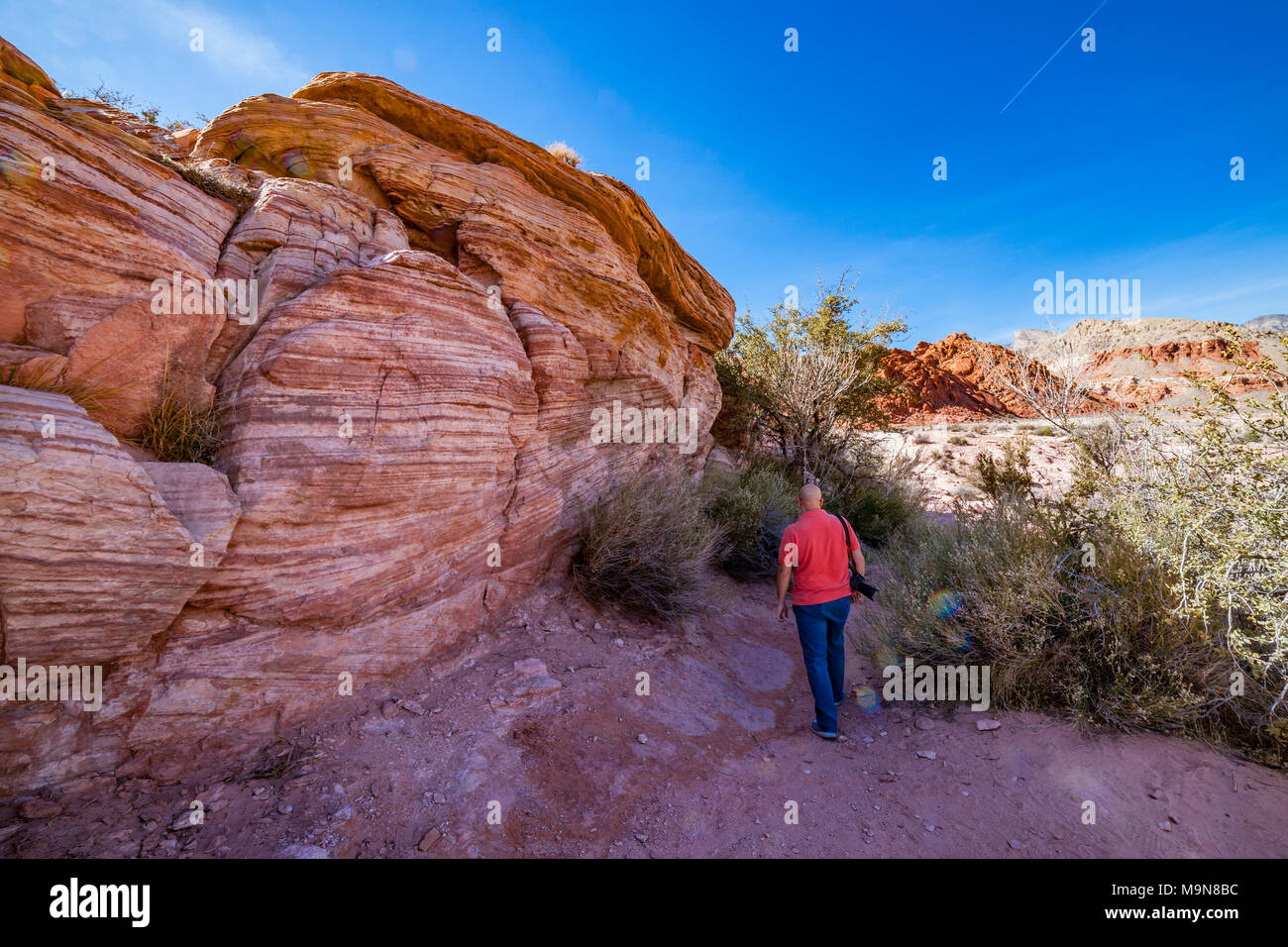 Red Rock Canyon in the Mojave desert, Navada, U.S.A Stock Photo - Alamy