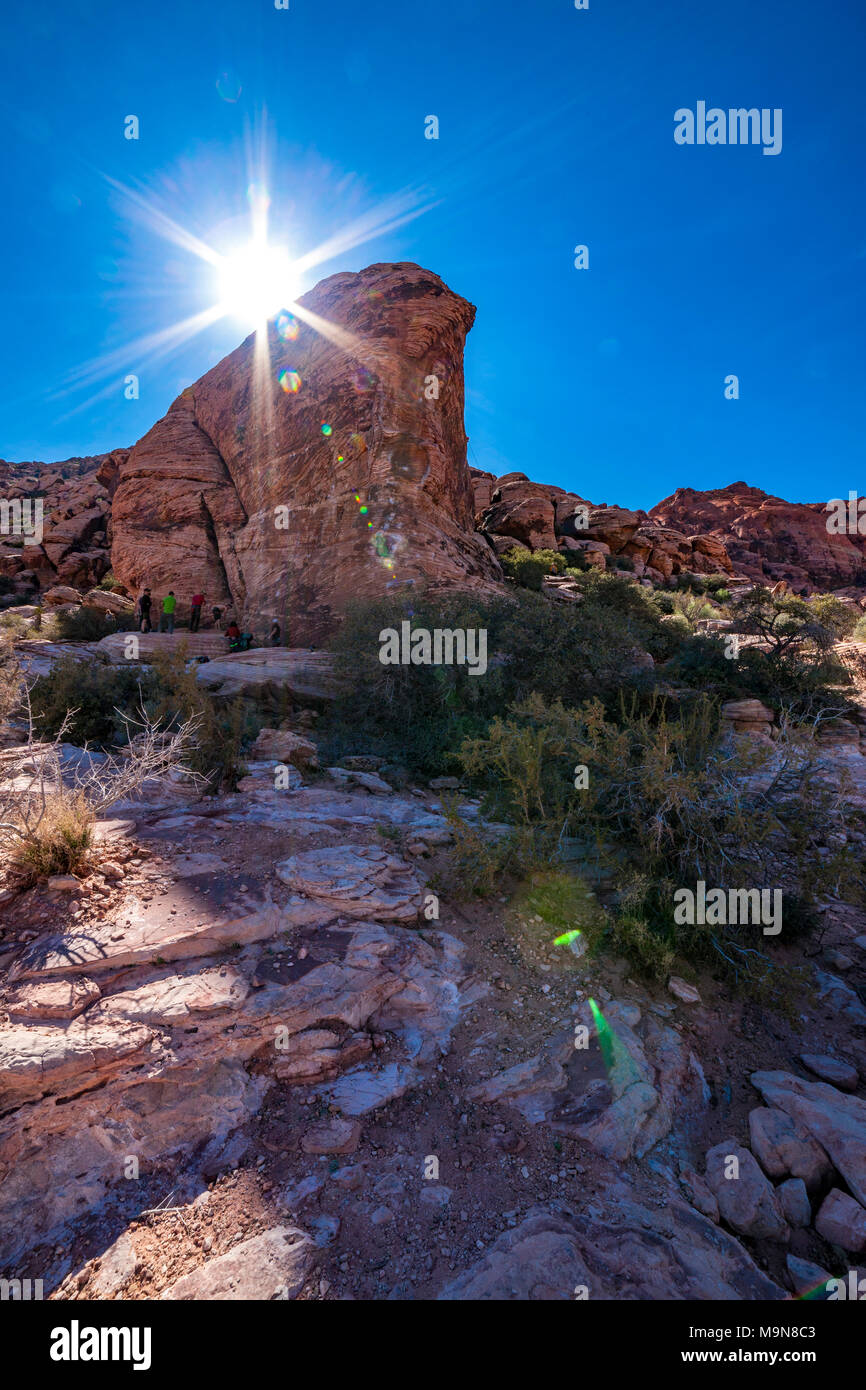Red Rock Canyon in the Mojave desert, Navada, U.S.A Stock Photo - Alamy