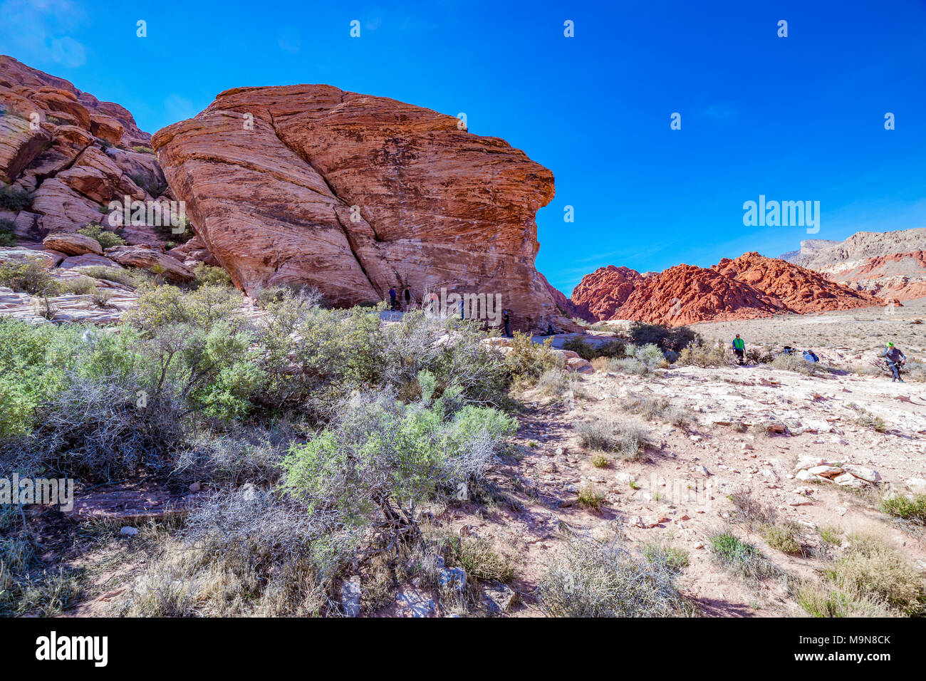 Red Rock Canyon in the Mojave desert, Navada, U.S.A Stock Photo - Alamy