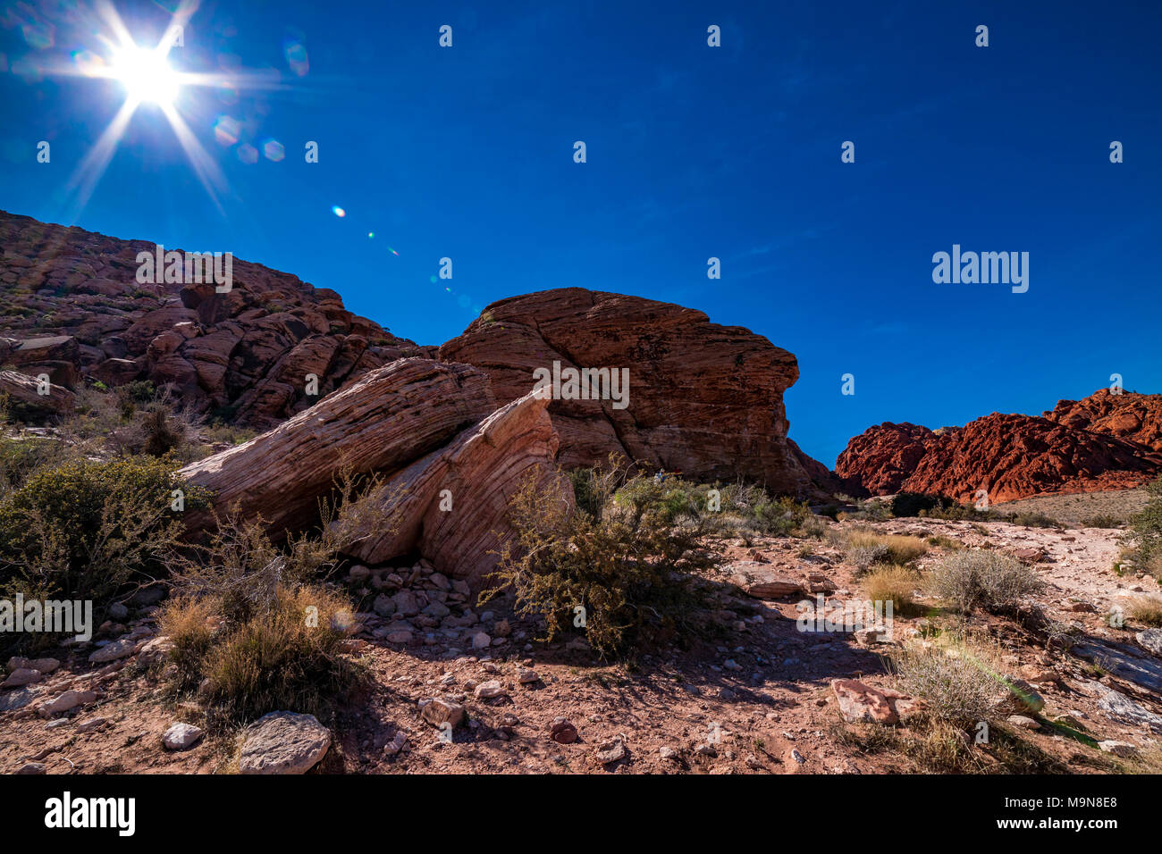Red Rock Canyon in the Mojave desert, Navada, U.S.A Stock Photo - Alamy