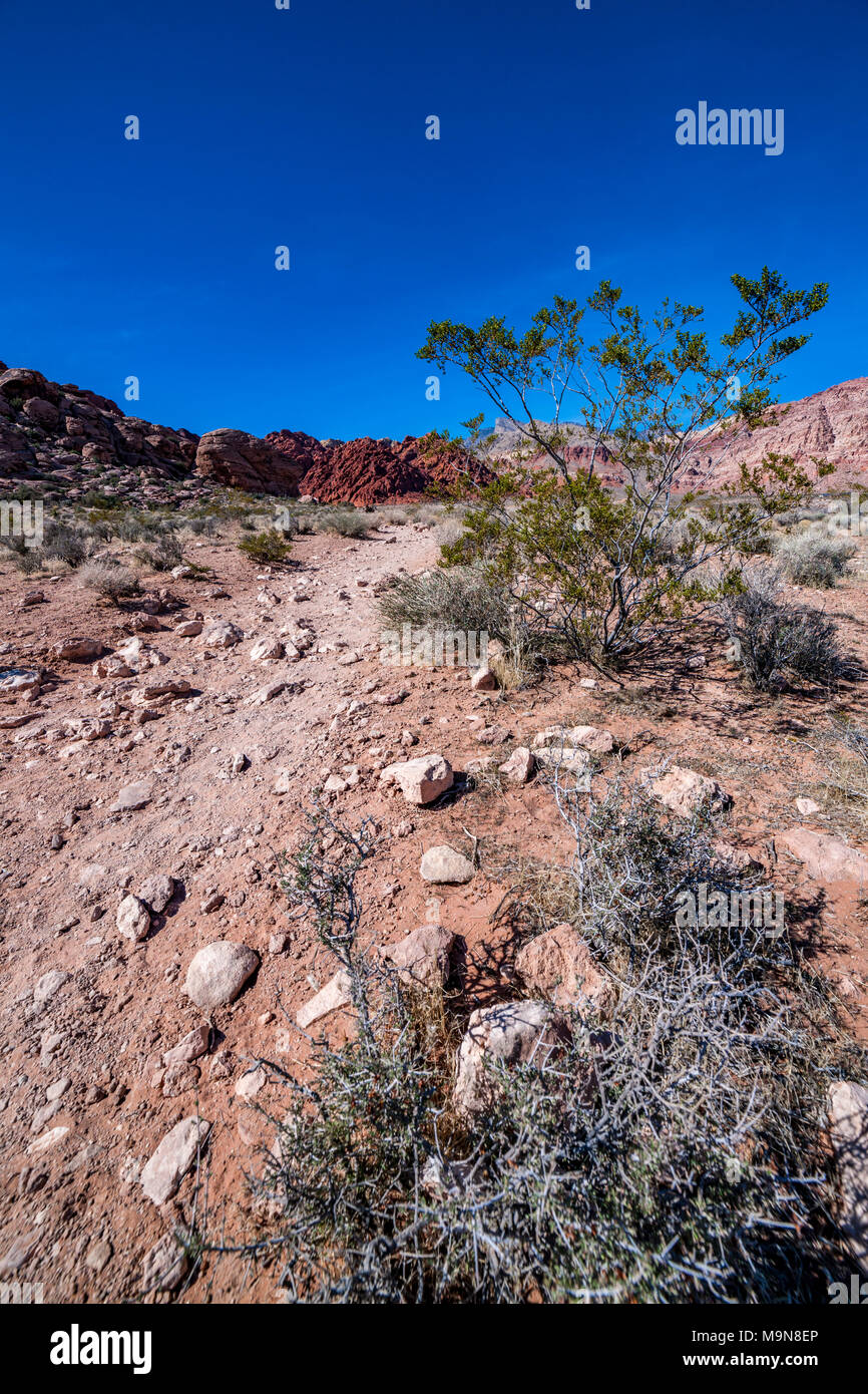 Navada desert hi-res stock photography and images - Alamy