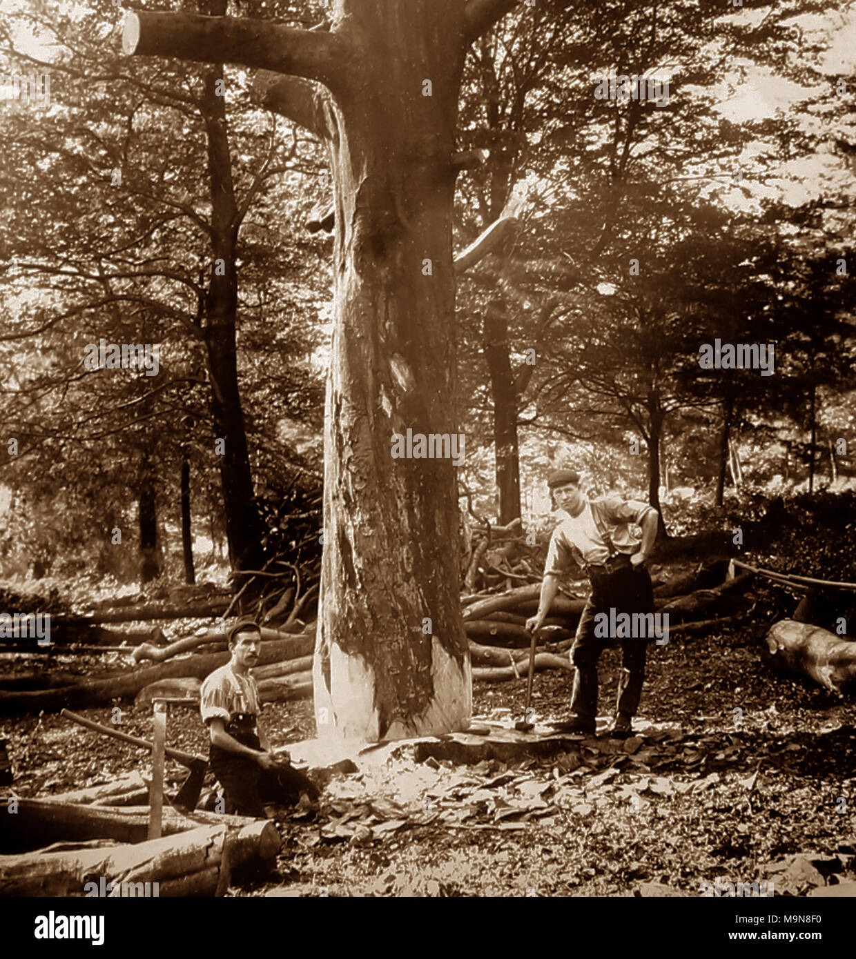 Woodcutters hi-res stock photography and images - Alamy