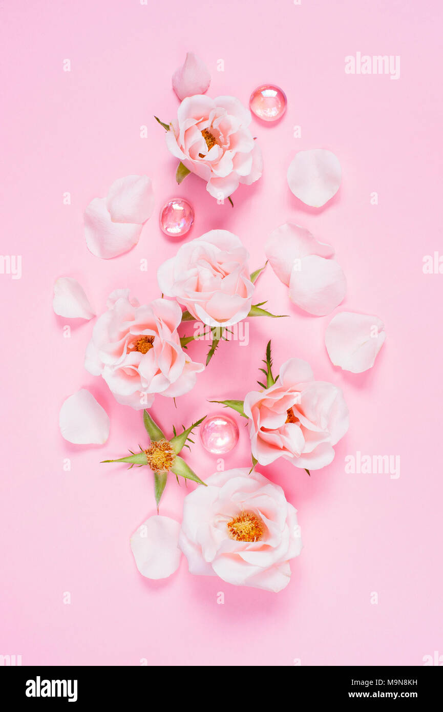 Pink composition hi-res stock photography and images - Alamy