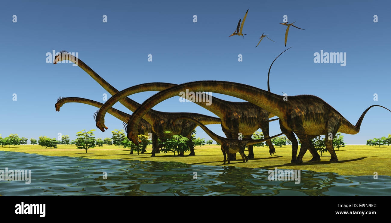 Jurassic Barosaurus Dinosaurs - A herd of Barosaurus dinosaurs bend ...